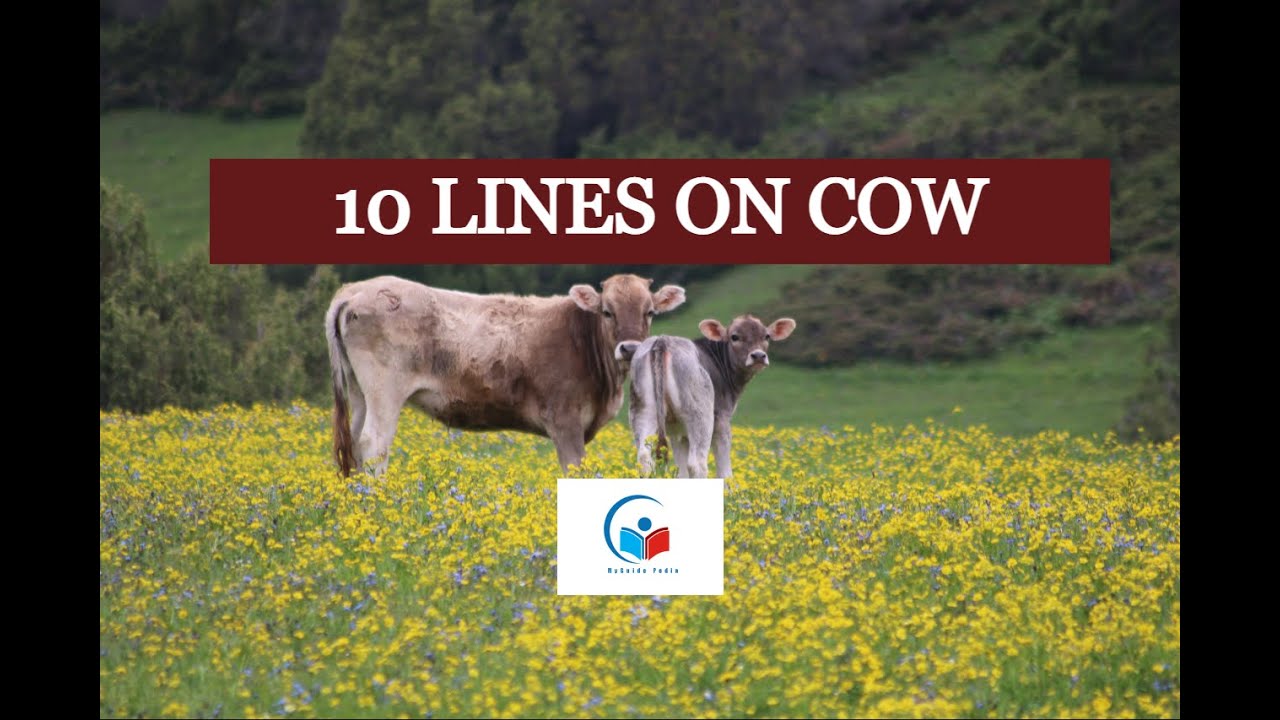10 Lines on Cow | Short Essay on Cow | Paragraph on Cow | MyGuidePedia ...