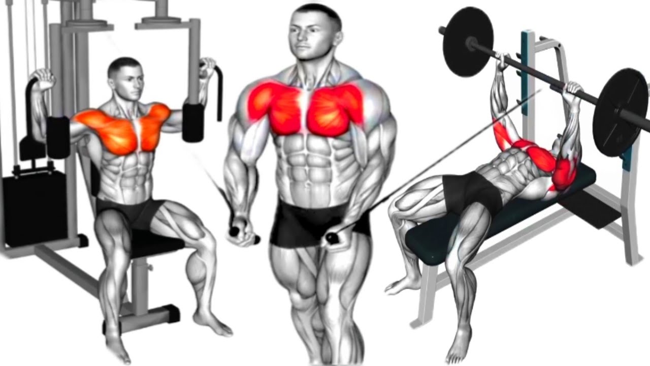 6 Huge Chest Exercises ( Fastest Results Workout ) - YouTube