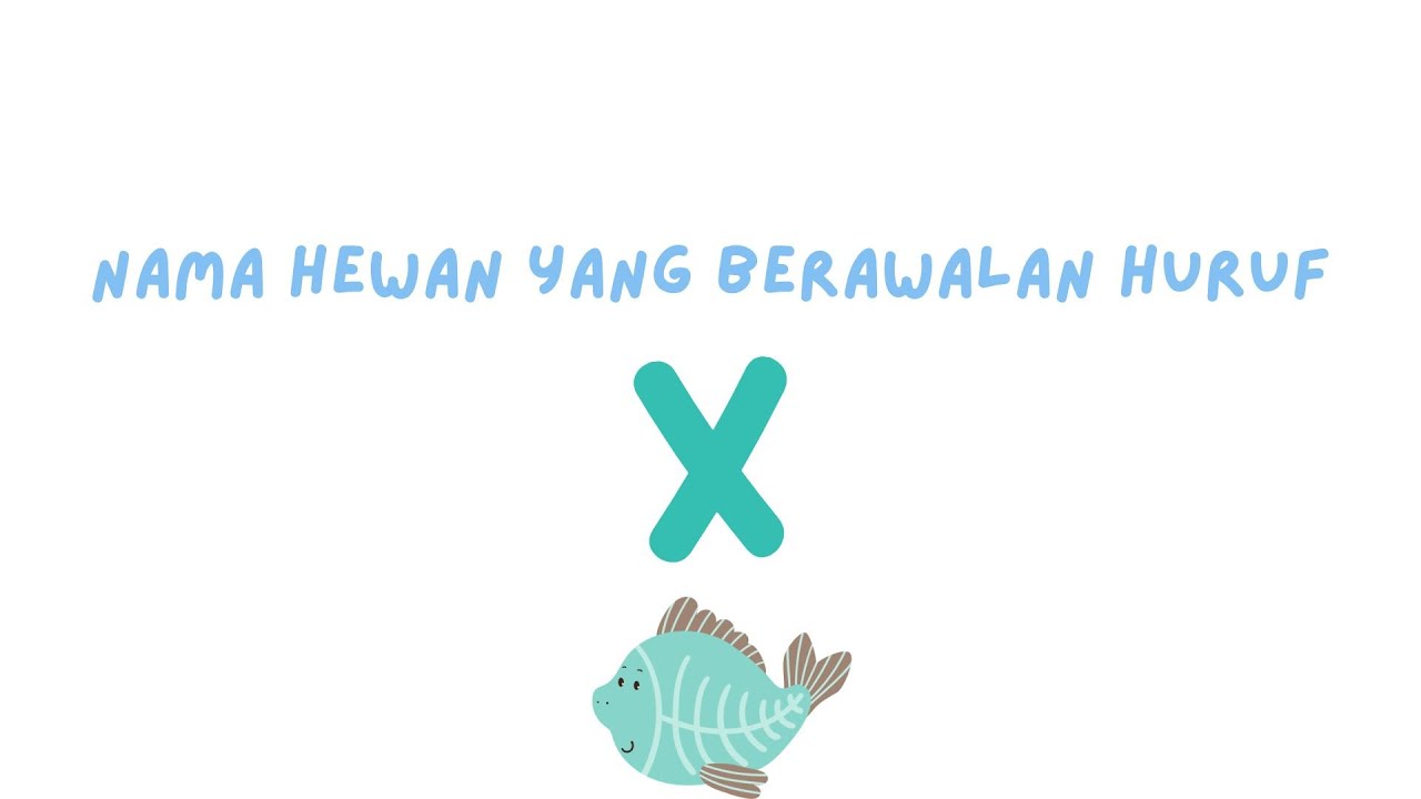 Belajar Nama Hewan yang Berawalan Huruf X bersama Skyrox-Video edukasi ...