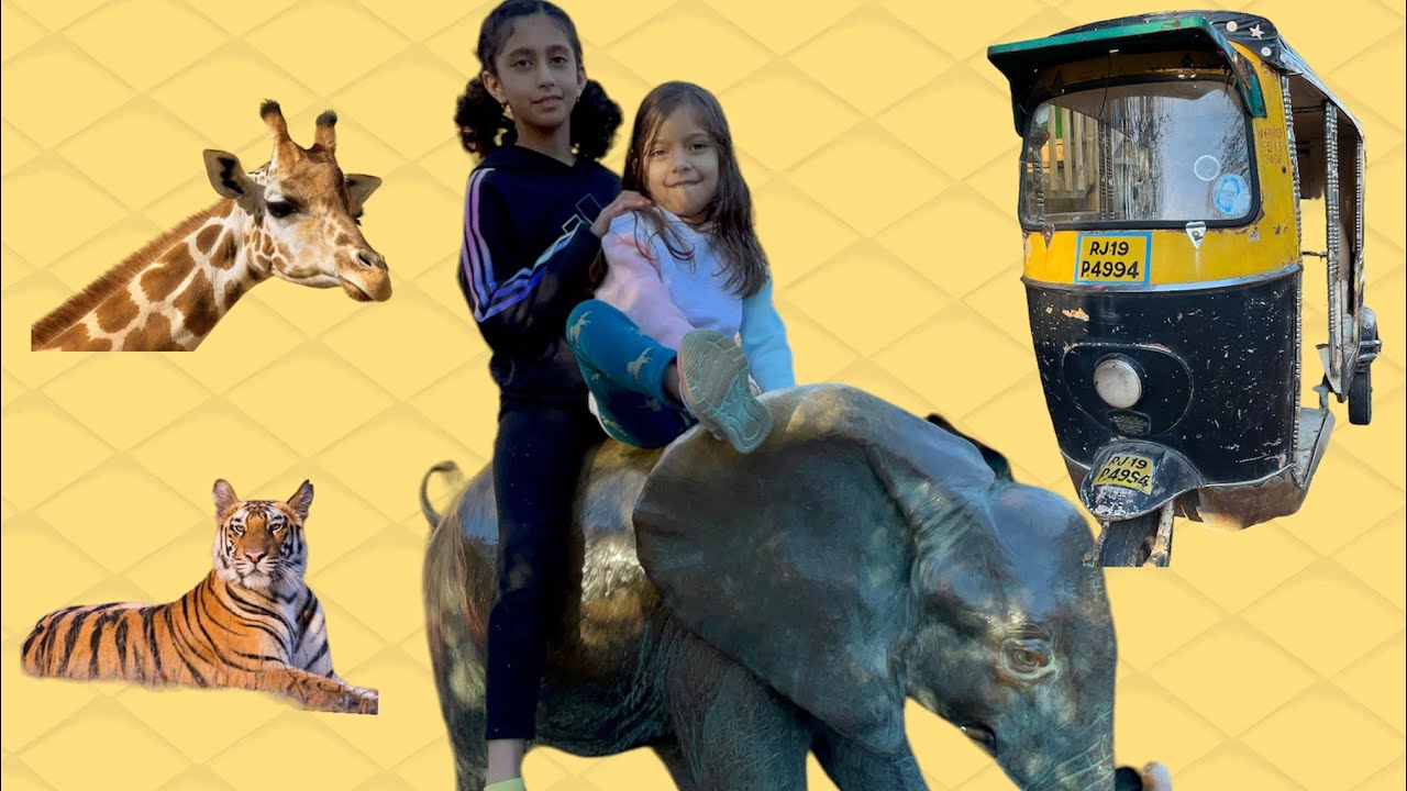 Spotted Indian Auto at the Zoon| Best Time for kids at the San Antonio ...