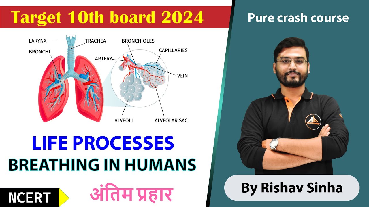 Life Processes | Breathing in Humans | 10th Board | Rishav Sinha Sir #education #boardexam2024 ...