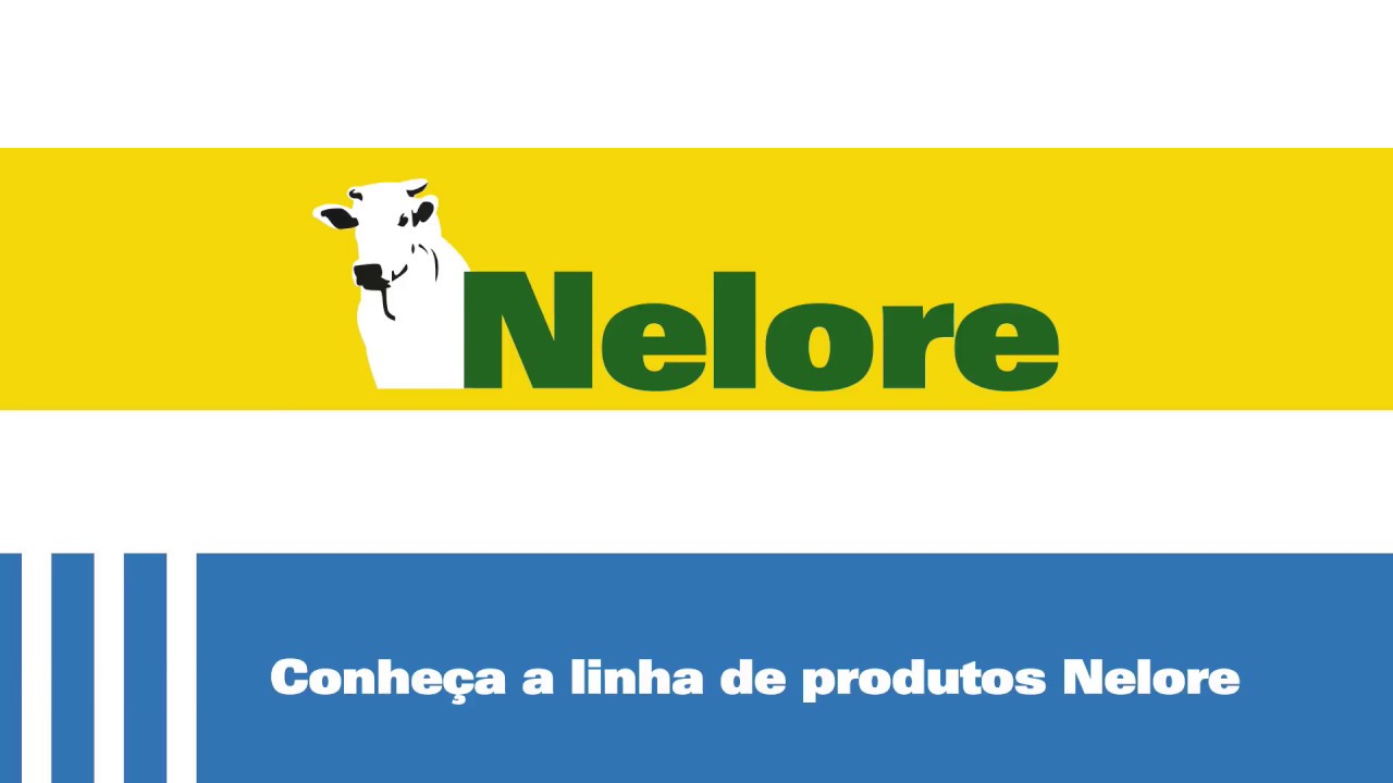 Linha de Produtos Nelore | Morlan SA - YouTube