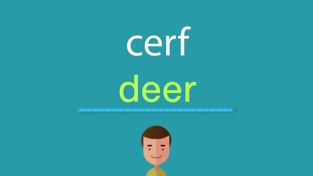 Comment dire cerf en anglais - YouTube