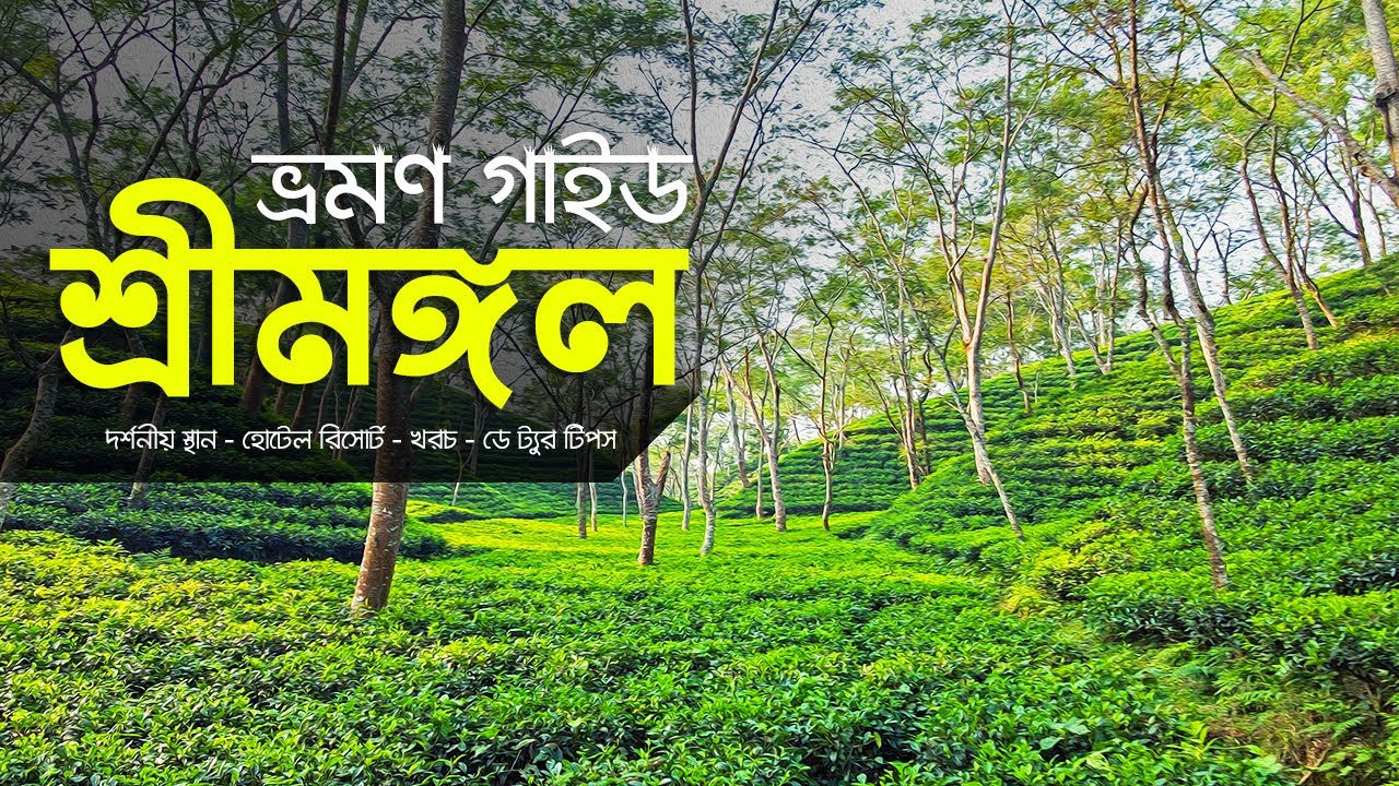 Sreemangal Travel Guide | শ্রীমঙ্গল ভ্রমণের সকল তথ্য | Moulvibazar ...