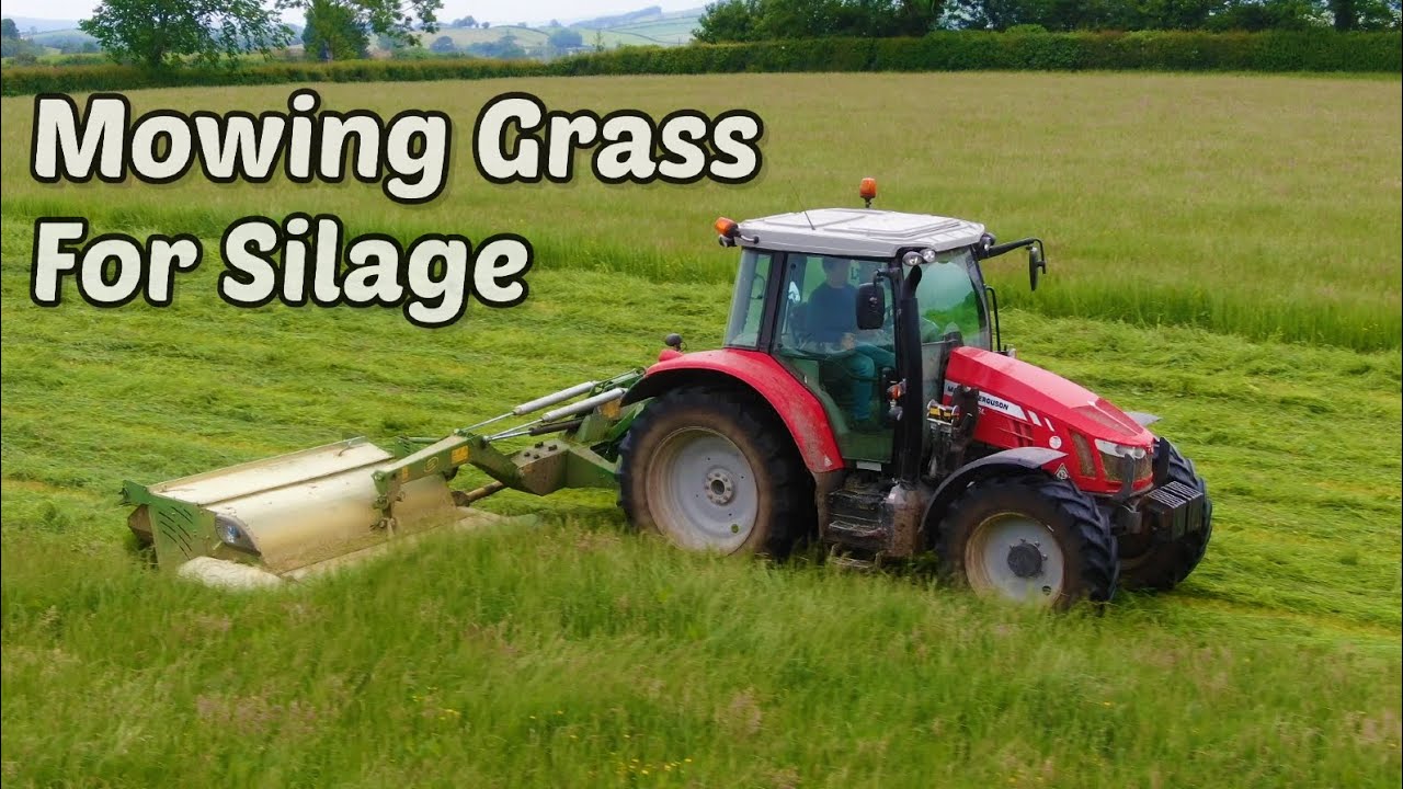 Mowing Grass For Silage - YouTube