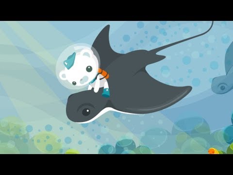 Octonauts and the walrus pups - YouTube