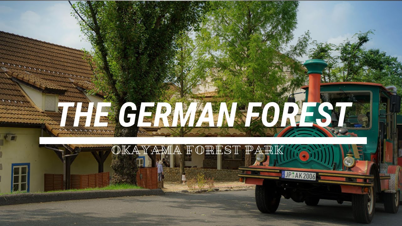 The German Forest (Okayama Forest Park) ┇ Sony A7iii Cinematic Video ...