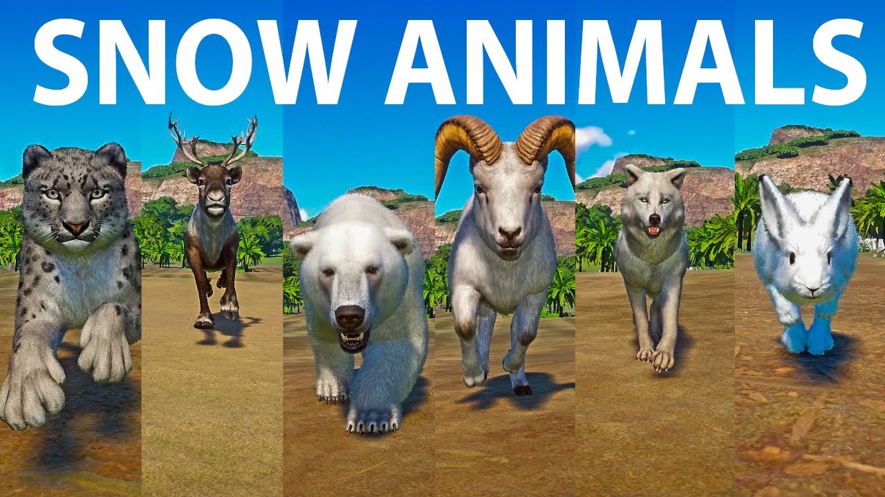 Snow Animals Speed Races in Planet Zoo included Arctic Wolf, Dall Sheep ...