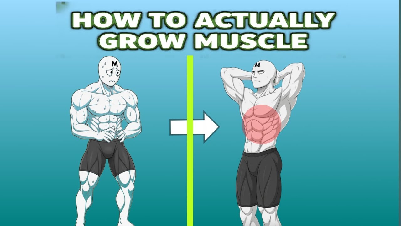 How Muscles Actually Grow 💪😱 Iron form - YouTube