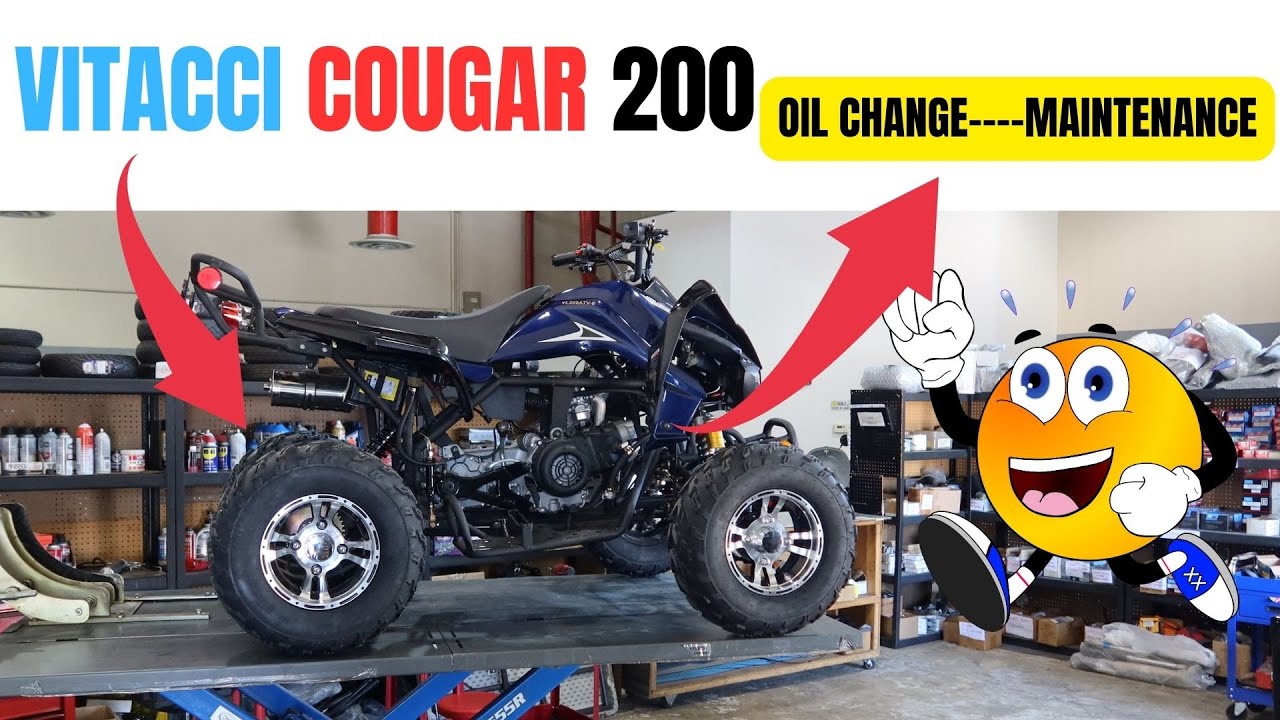 VITACCI COUGAR 200 OIL CHANGE AND MAINTENANCE | SCOOTERATVSALES.COM ...