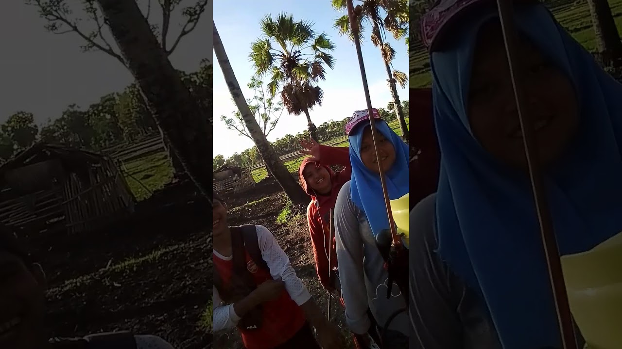 Lagi Ama Sepupu Guys Youtube