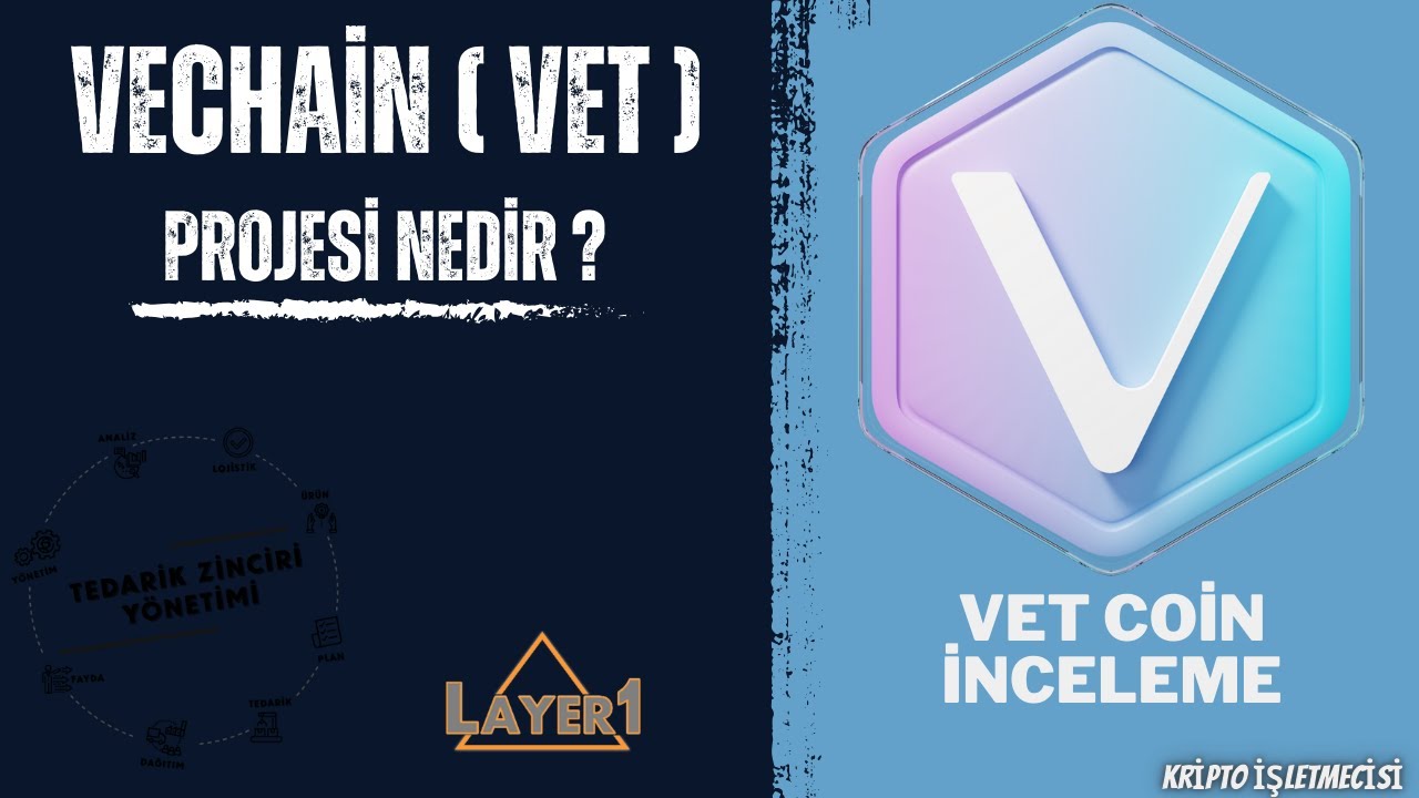 VECHAİN ( VET ) NEDİR ? VET COİN İNCELEME, YORUM VE ANALİZ ( DETAYLI ...