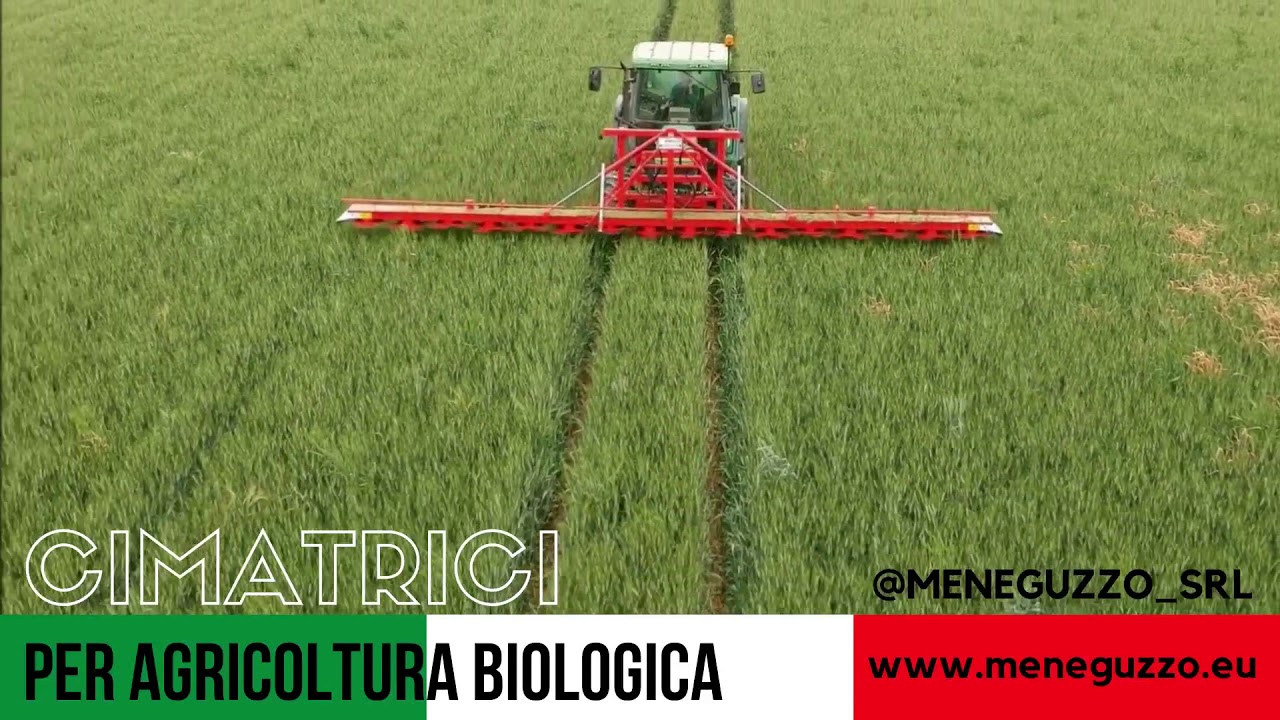 Mechanical weed control with weed trimmer for organic farming - YouTube