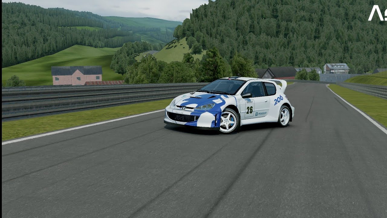 ASSOLUTO RACİNG Peugeot 206 Rally Car (nurburgring 7.12)#assolutoracing ...