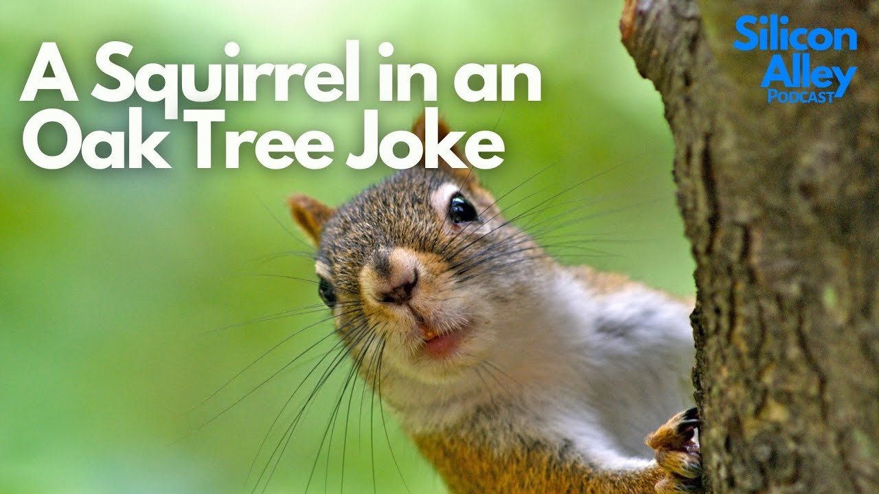Funny Animal Jokes | Squirrel and Oak Tree Joke That'll Make You Laugh ...