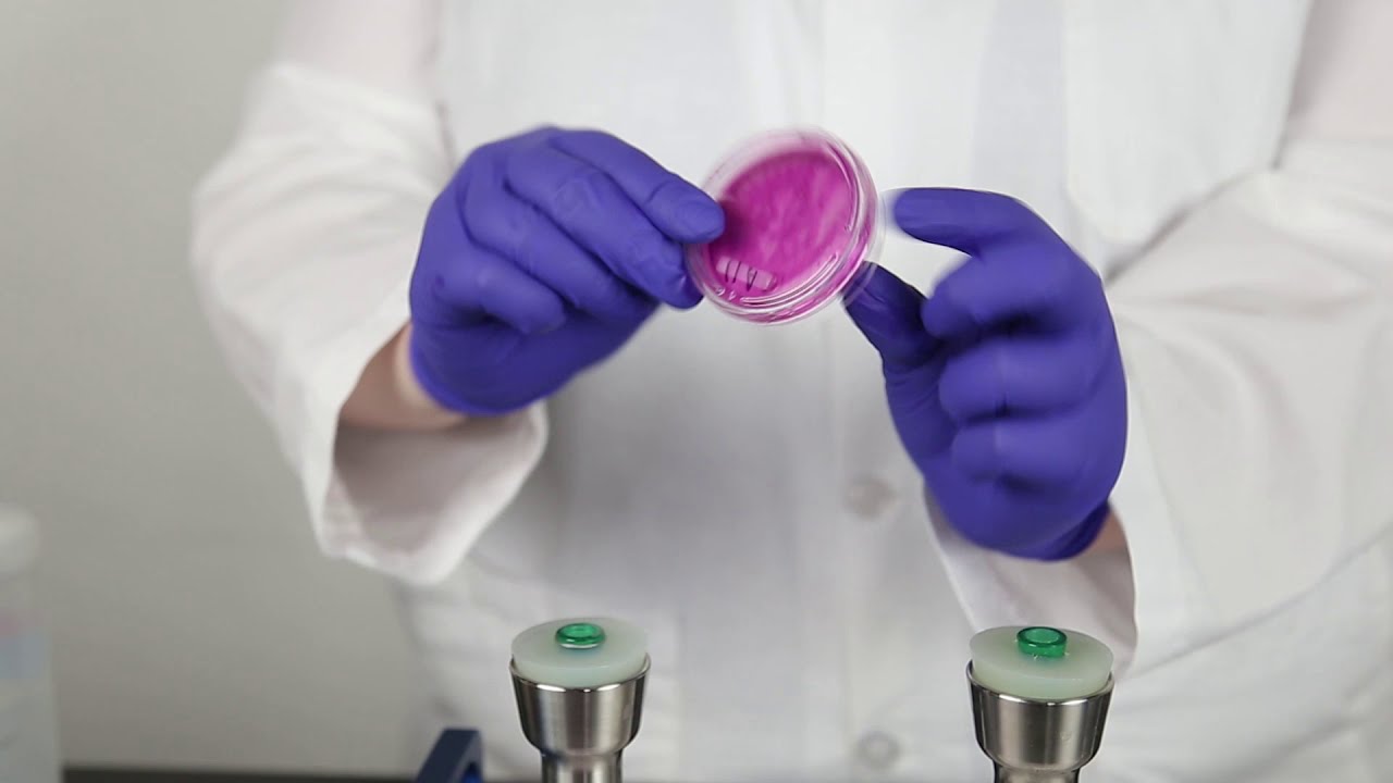 NEOGEN® Filters and Ampoule Media | Test Procedures - YouTube