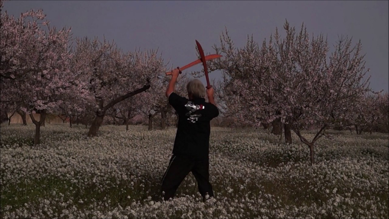 Double Broadsword Form by Udo Reichmann - YouTube