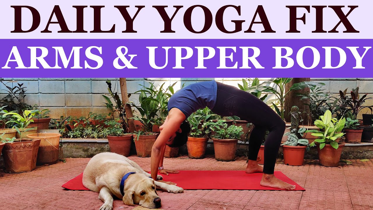 Restorative Yoga for Arms & Upper Body Strength | Daily Yoga Fix ...