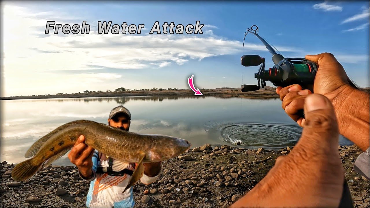 Best Fishing Spot In Fisch | Snackhead Fishing Rod And Reel | Fresh ...