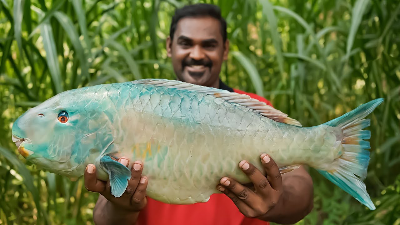 PARROT FISH POPCORN | FISH RECIPE | WORLD FOOD TUBE - YouTube