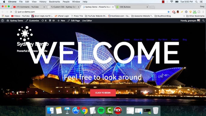 Wordpress Theme Sydney How to Change Background Photos - My Blog