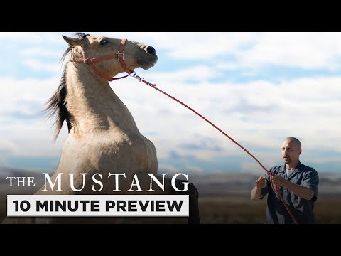 The Mustang | 10 Minute Preview | Film Clip | Own it now on Blu-ray, DVD & Digital