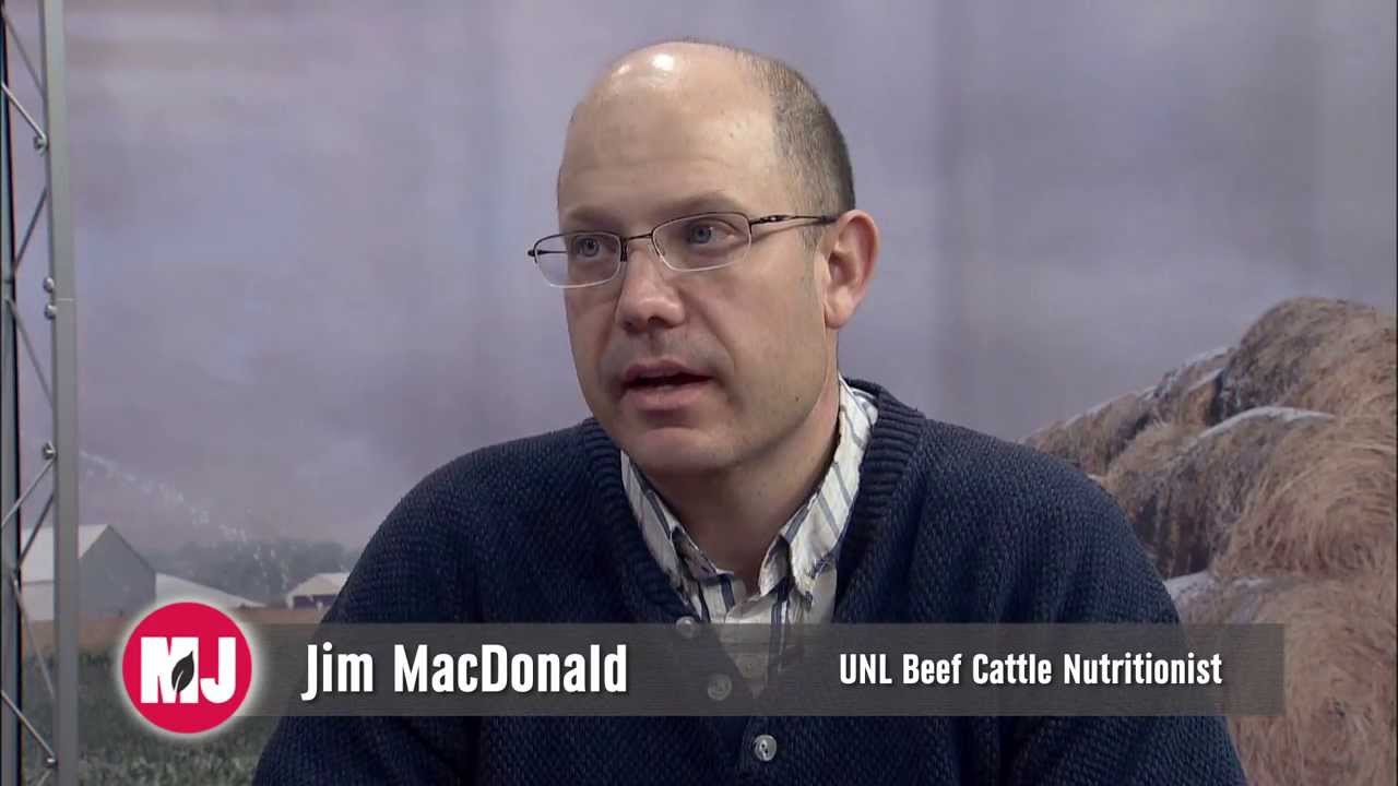 Feedlot Efficiency - Jim MacDonald - January 31, 2014 - YouTube