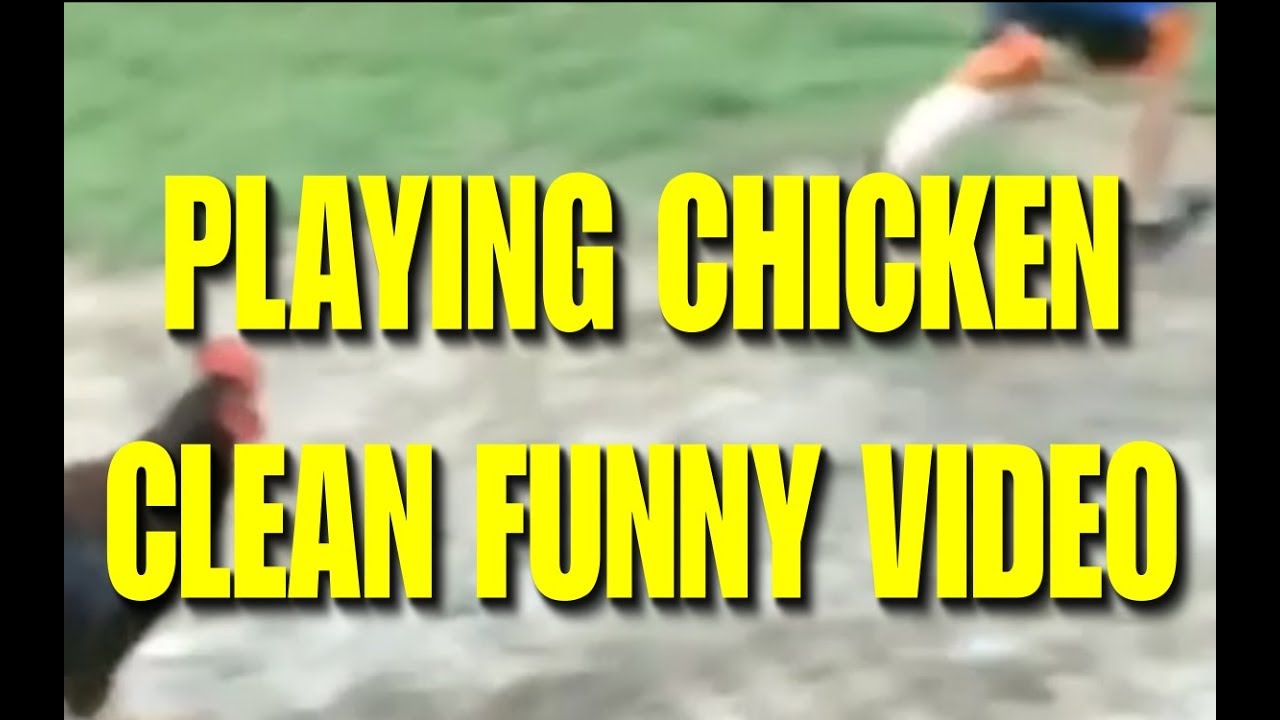Playing Chicken - Clean Funny Video - CleanMemes.com - YouTube