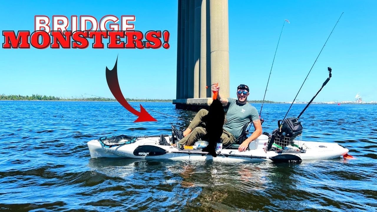 Catching MONSTER Fish on a Small Bait! | 2 New PBs! - YouTube
