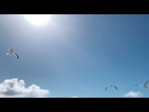 Sildim Seni Kalbimden