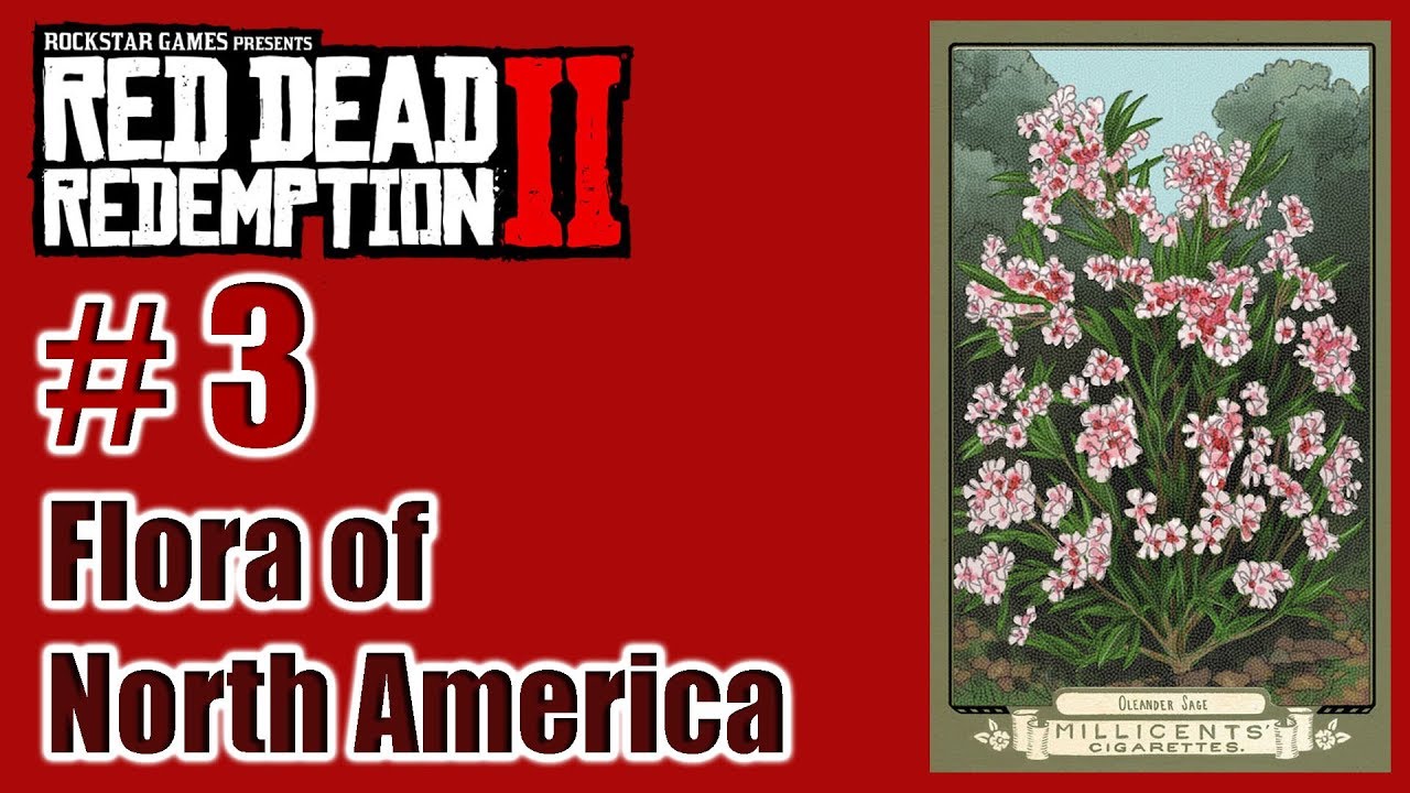 RDR2 - Flora of North America – 03 Oleander Sage - Cigarette Card ...