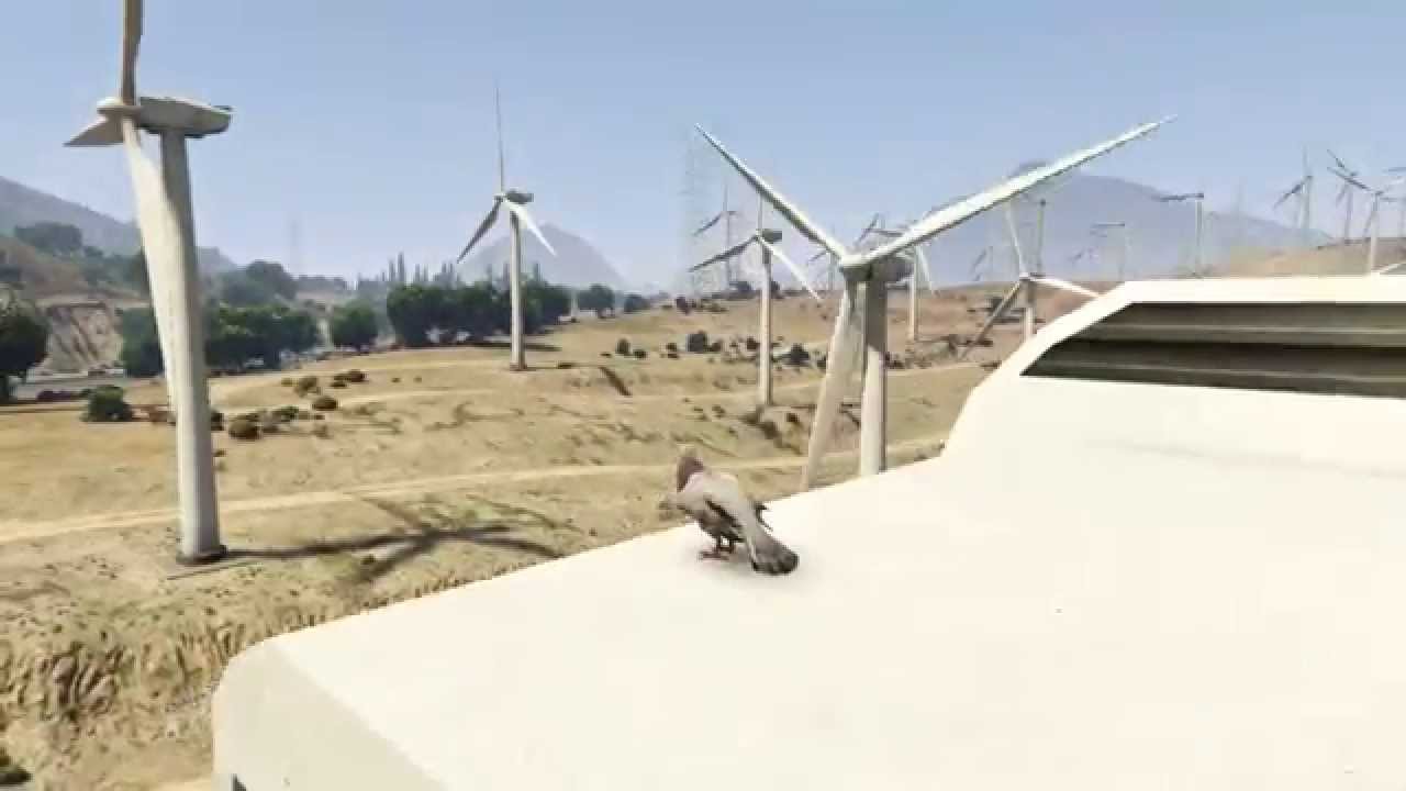 GTA 5 Next Gen - The Pigeon's Feat (GTAV - Playing as a bird #4) - YouTube