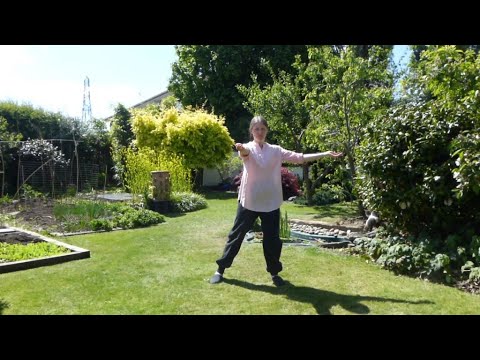 Lee Style Online Tai Chi Class 12 - YouTube