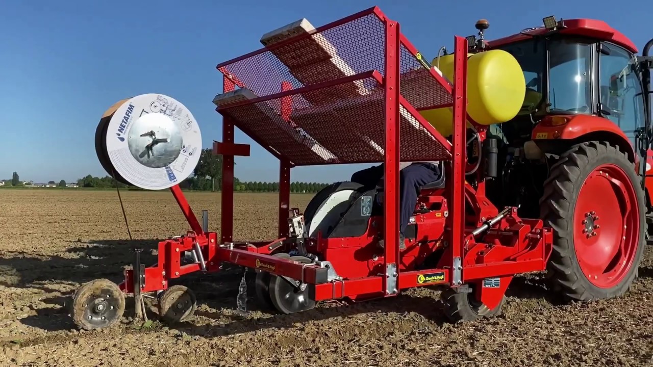 CHECCHI & MAGLI - WOLF PRO 1 ROW - HEMP & VEGETABLES TRANSPLANTER - YouTube