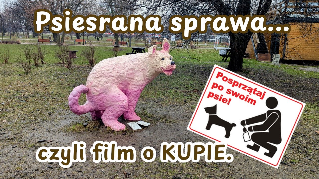 PSIESRANA SPRAWA, czyli PSIA KUPA :) - YouTube