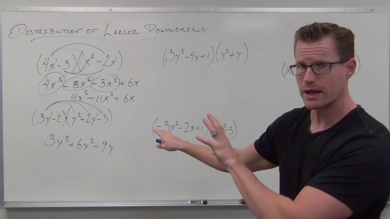 Distribution of Polynomials (TTP Video 70) - YouTube