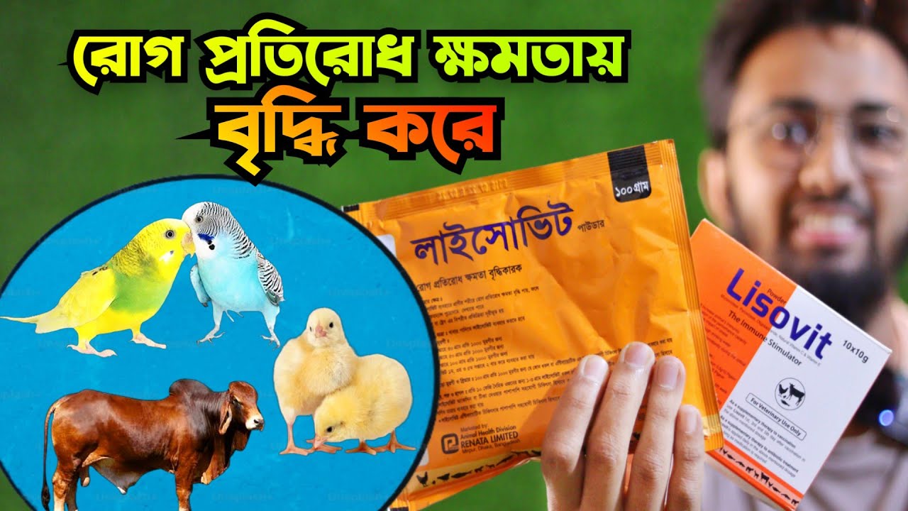 লাইসোভিট খাওয়ানোর উপকারিতা | লাইসোভিট | Lisovit - YouTube
