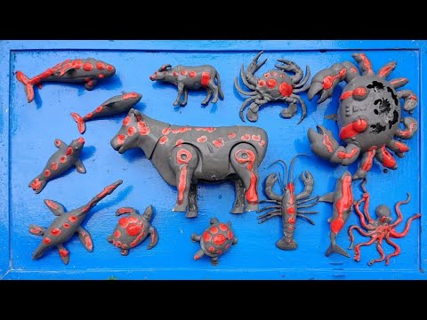 cleans hewan sapi menghasilkan susu, kepiting, ikan paus, anjing laut ...