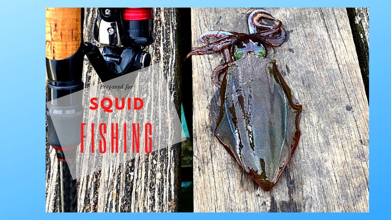 Rye Pier Squid Fishing - YouTube