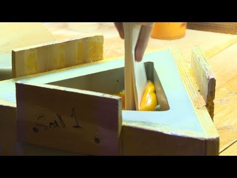 Made in Wisconsin: Foamation -- home of the sheesehead - YouTube