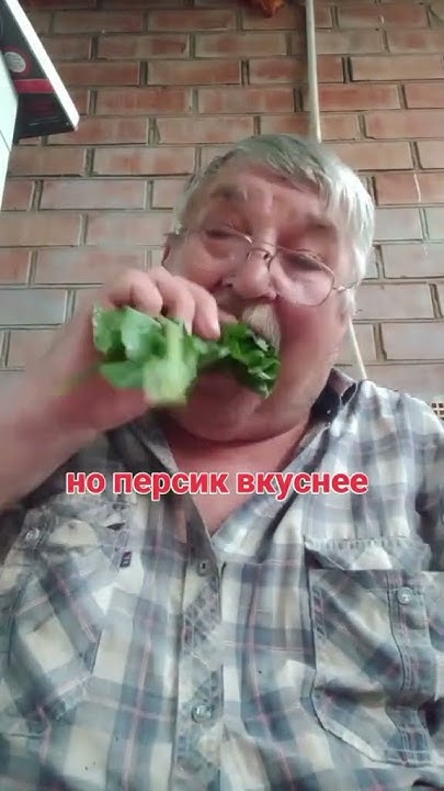 Щавель или персик Youtube
