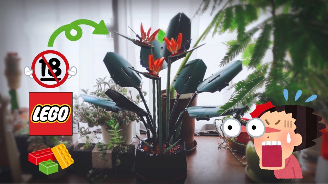 LEGO para SOLO MAYORES de 18 AÑOS !?!?【Ave del Paraíso / Strelitzia ...
