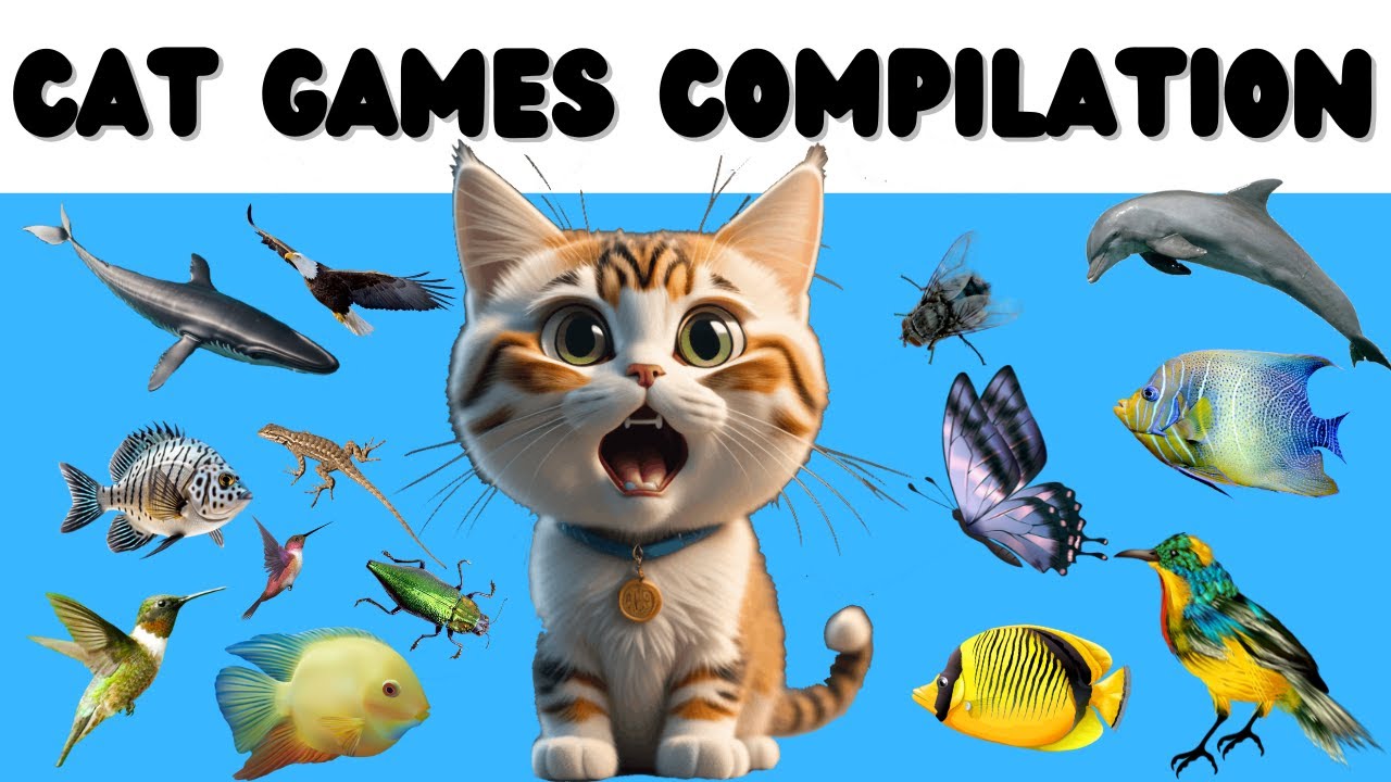 Cat Games [5 HOURS] - CAT TV Mega Compilation - YouTube