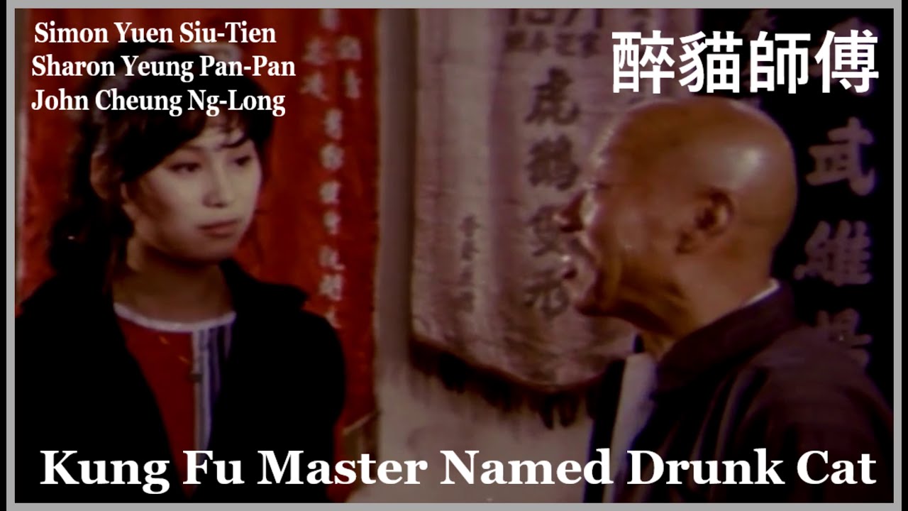 kung-fu-master-named-drunk-cat-youtube