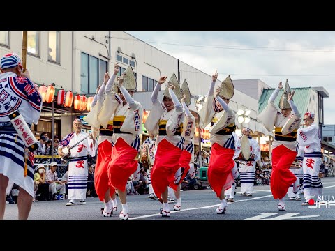 Japan's Traditional Dance Festival Awa Odori | 2025 Awaodori
