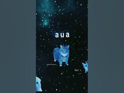 Cutest Thing Ive Ever Seen Youtube