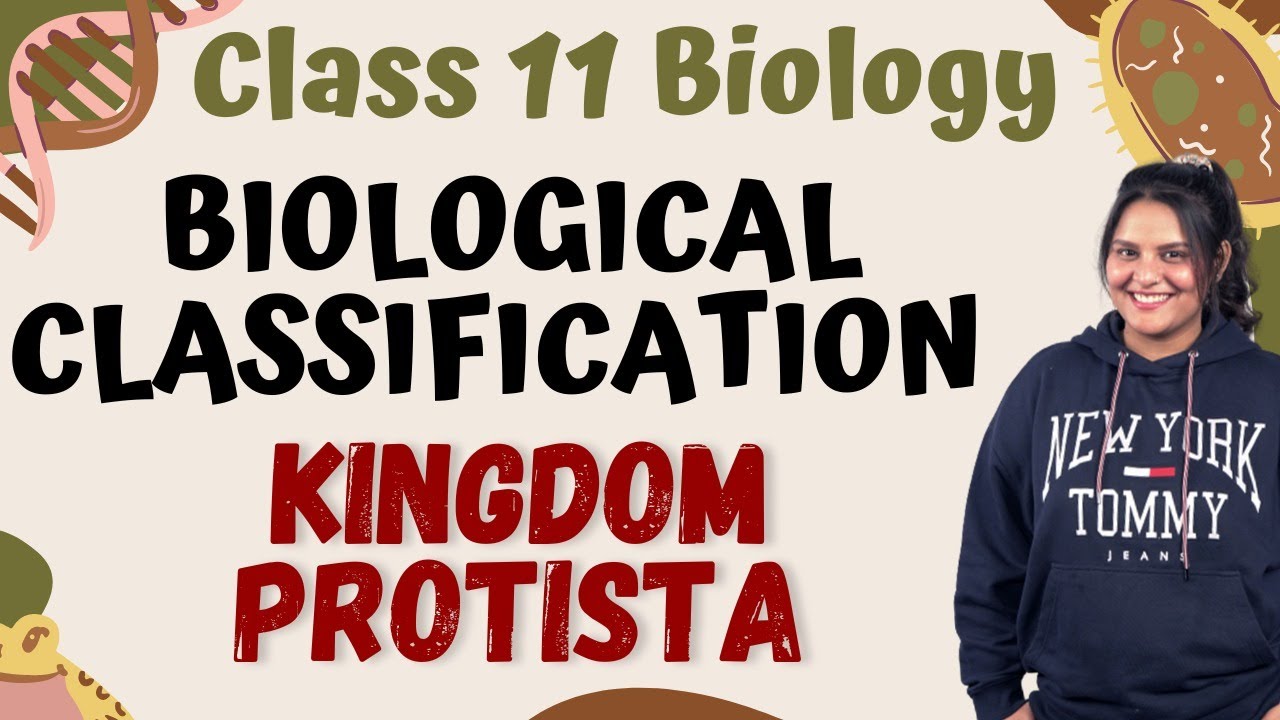 Class 11 Biology | Biological Classification | Kingdom Protista | NCERT ...