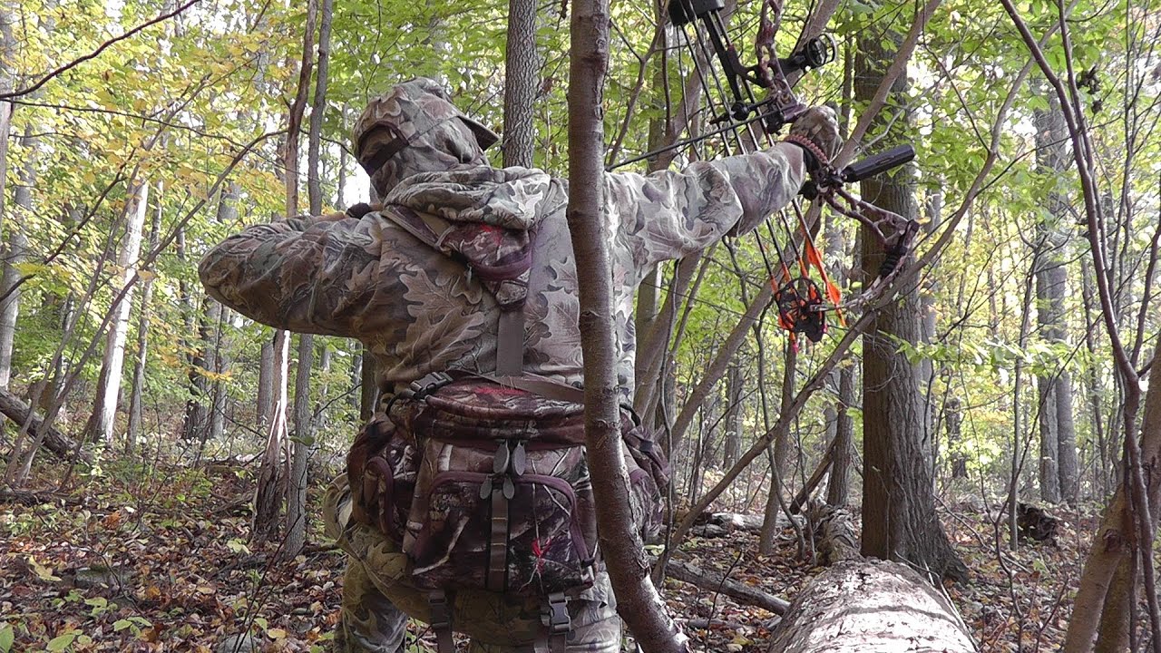 BOWHUNTING: Small Game Squirrel Hunt With The G5 S.G.H. - YouTube