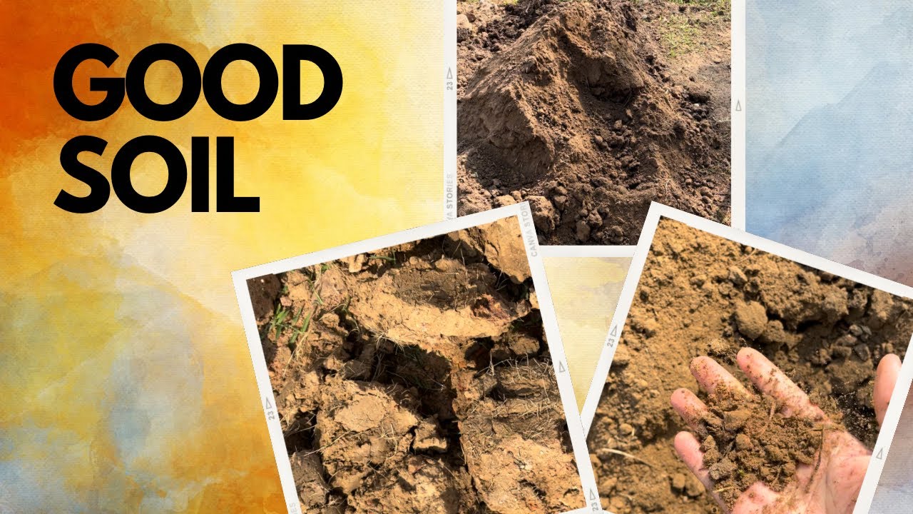 Use Good Soil for your Lawn - YouTube
