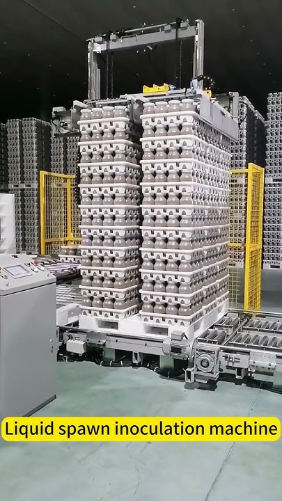 Liquid spawn inoculation machine for mushroom bottle growth - YouTube